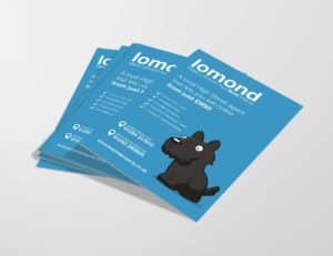 Lomond Property Print Design, Social & Branding : Launch Digital
