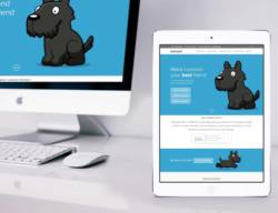 Lomond Property Print Design, Social & Branding : Launch Digital