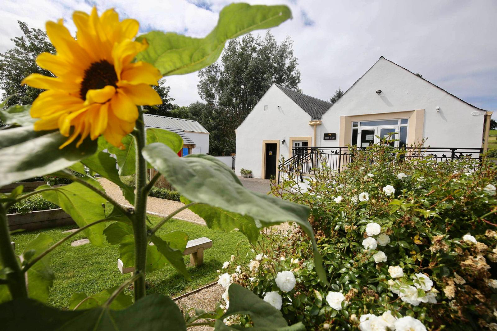 Whiteleys Retreat Website Development : Launch Digital